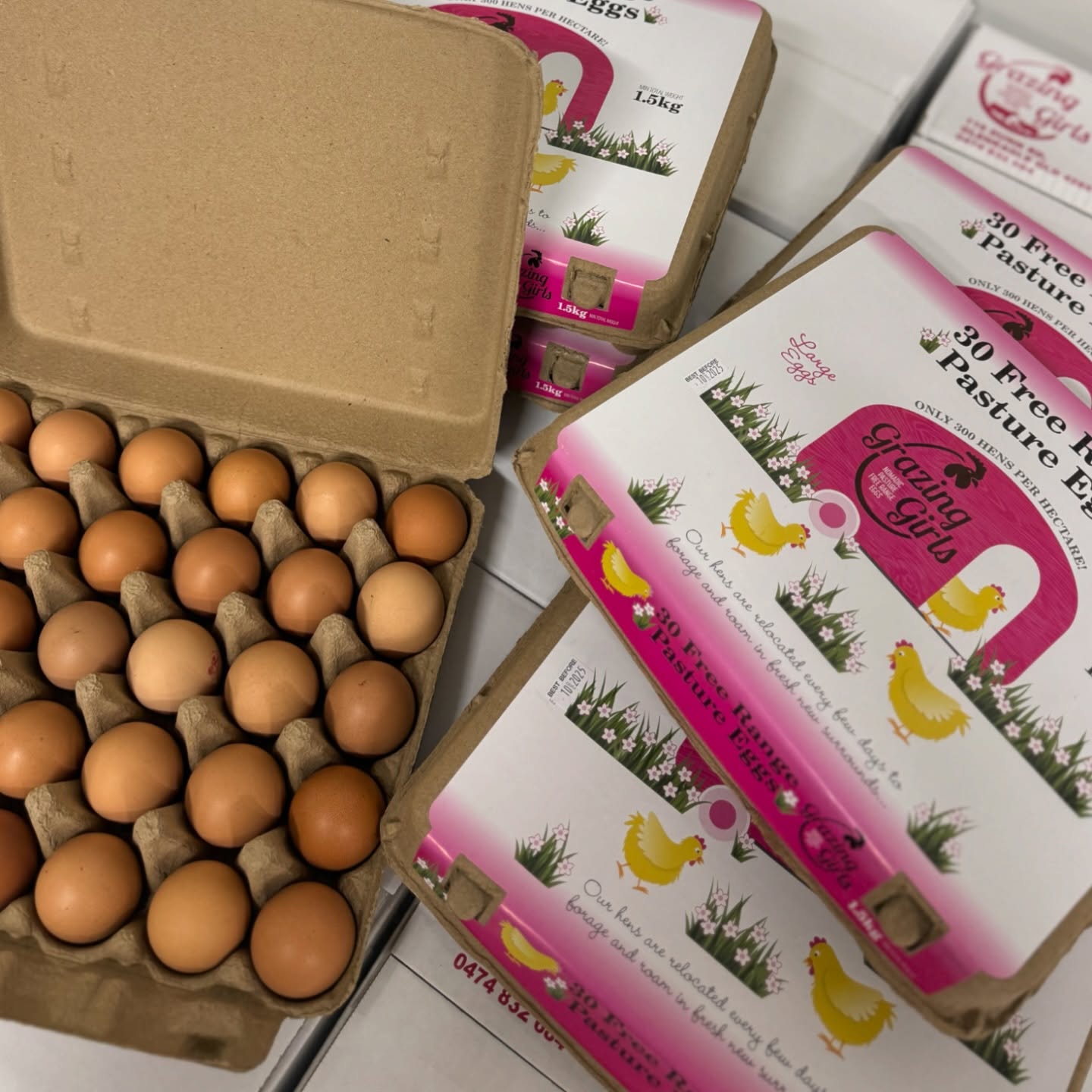 Large 30Pk Tray Bulk Box – Grazing Girls Pty Ltd